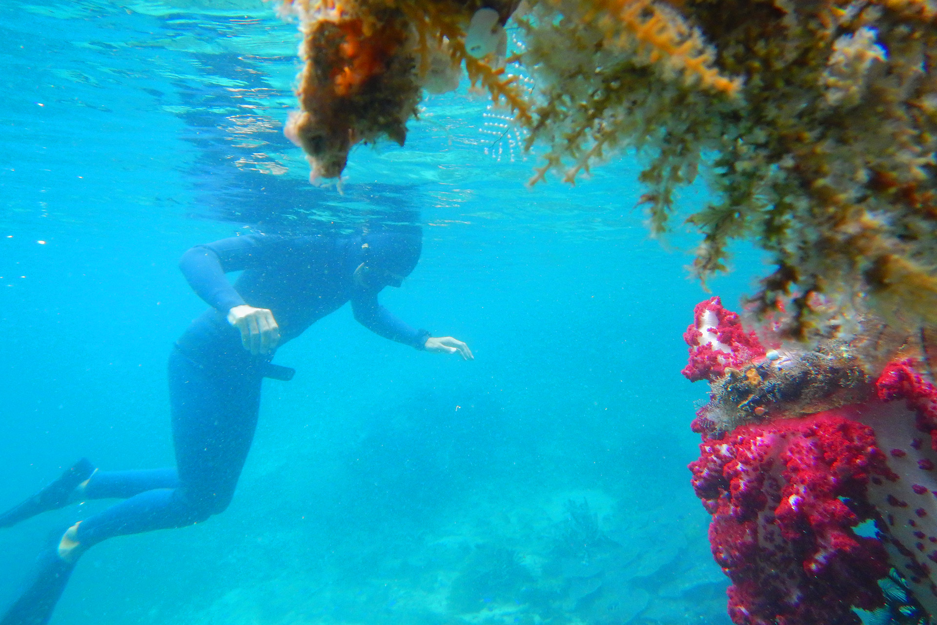 Active experiences in Tampah Hills and Lombok